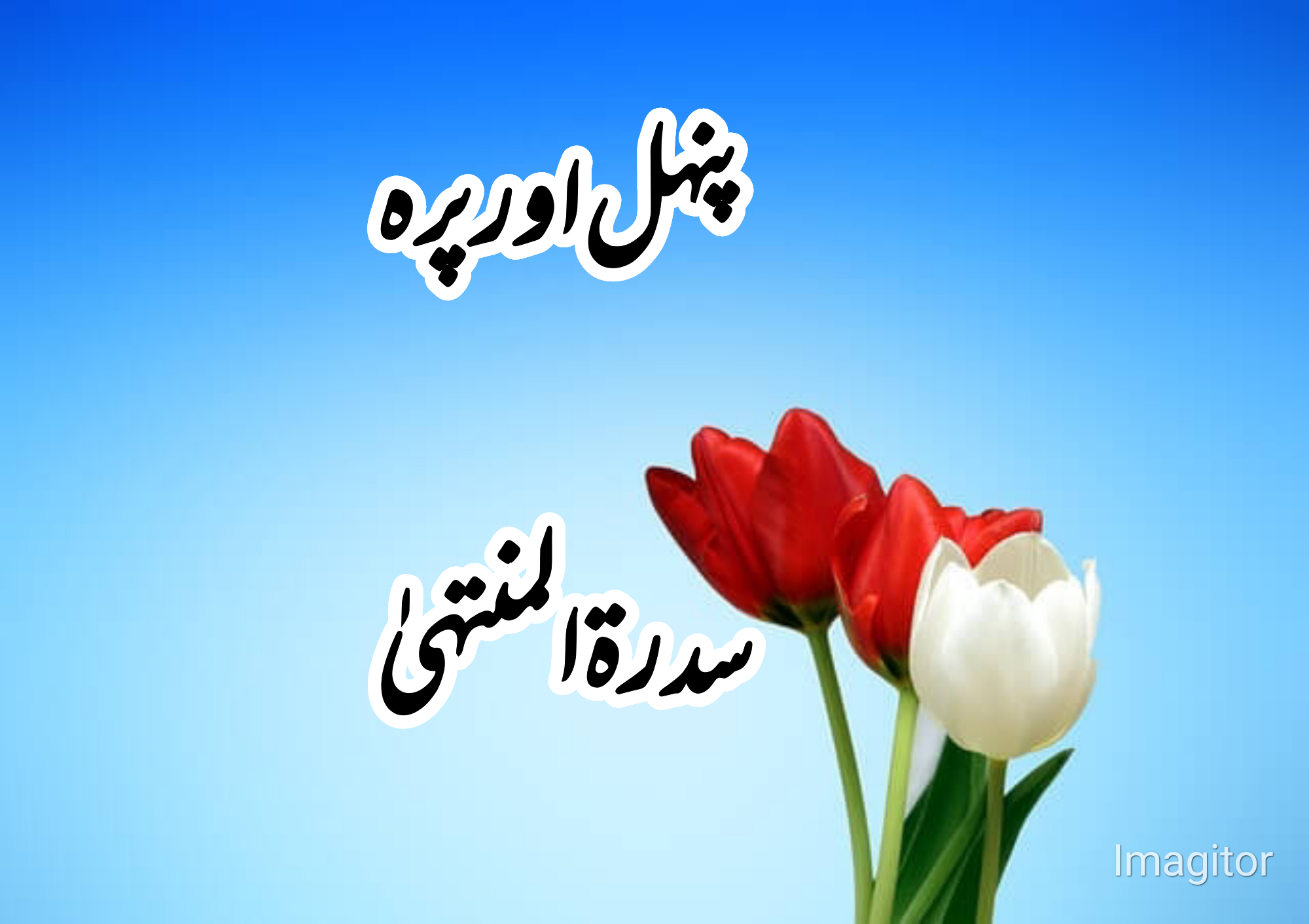 Panhal aur Parah by Sidratul Muntaha - Digest Library