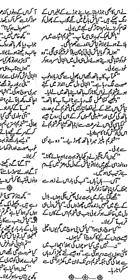 Bhai log by Nadia Fatima Rizvi - Digest Library