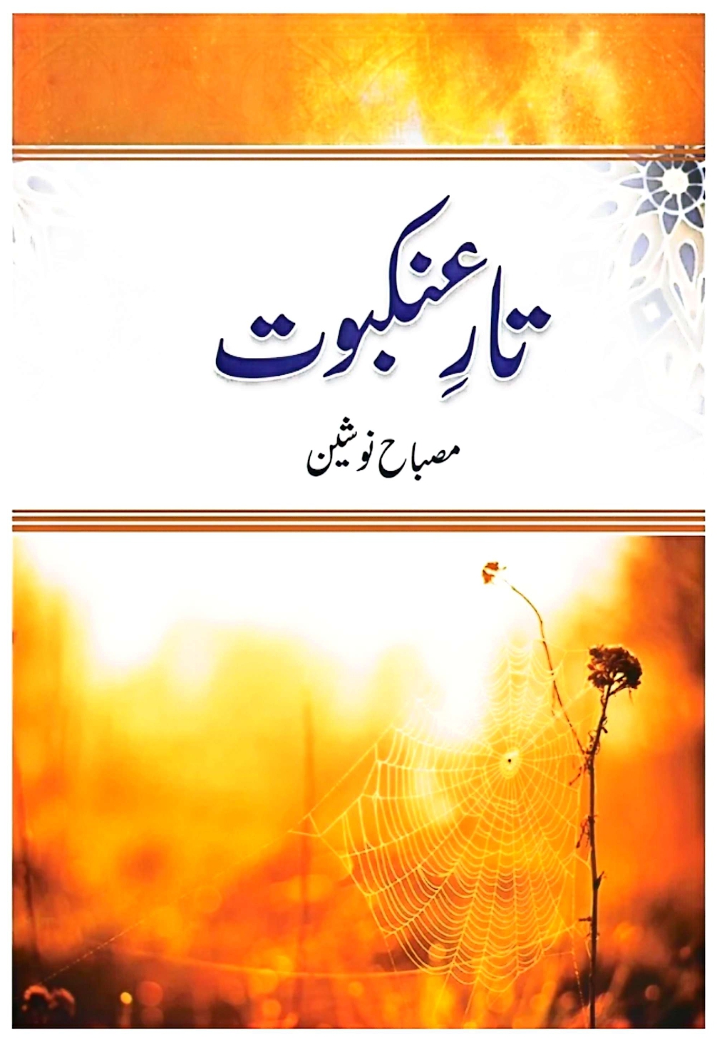 Taar e ankboot by Misbah Nosheen - Digest Library